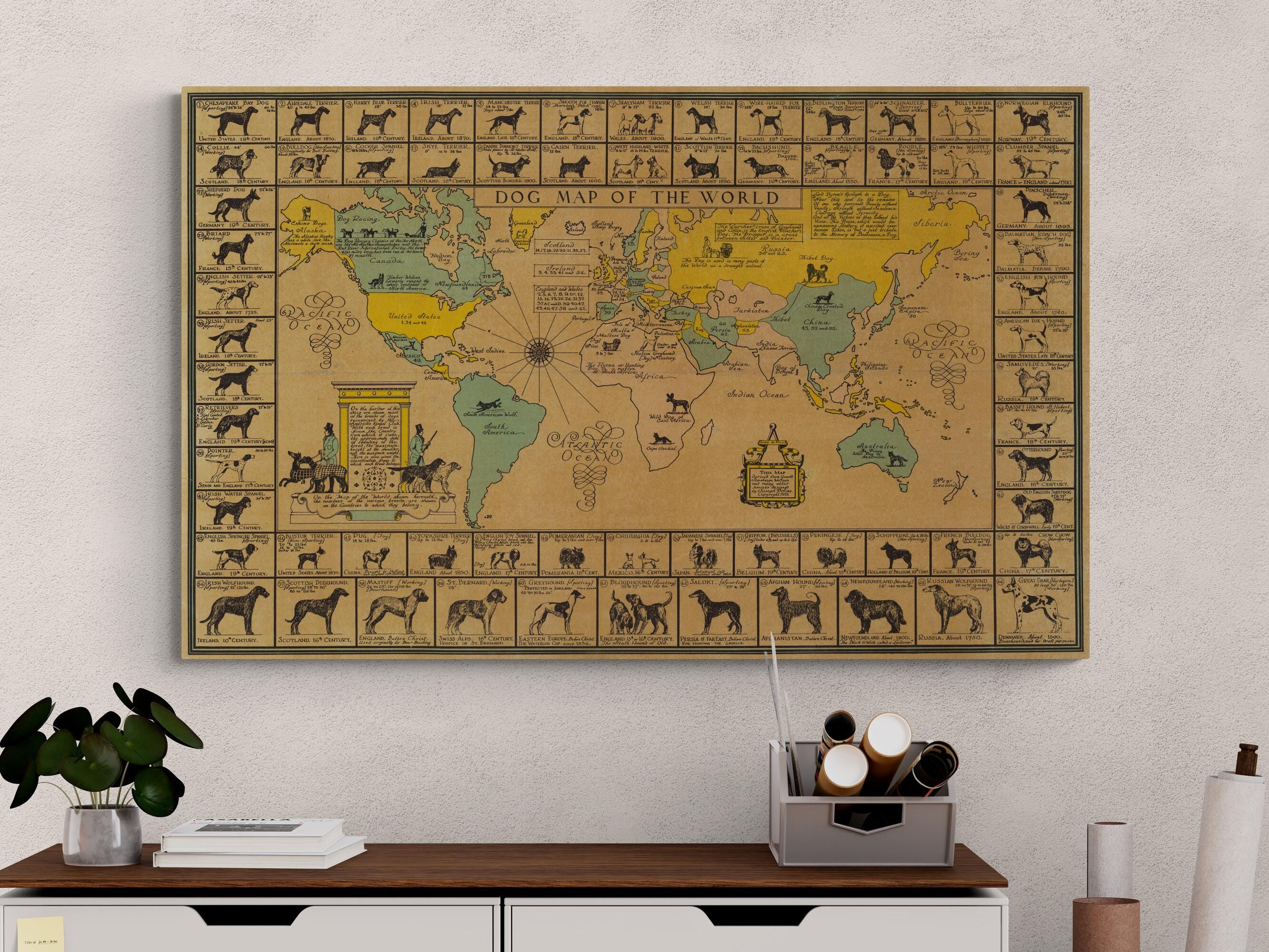 Vintage 1933 Dog Map of the World: Antique Dog Breed Print - Etsy