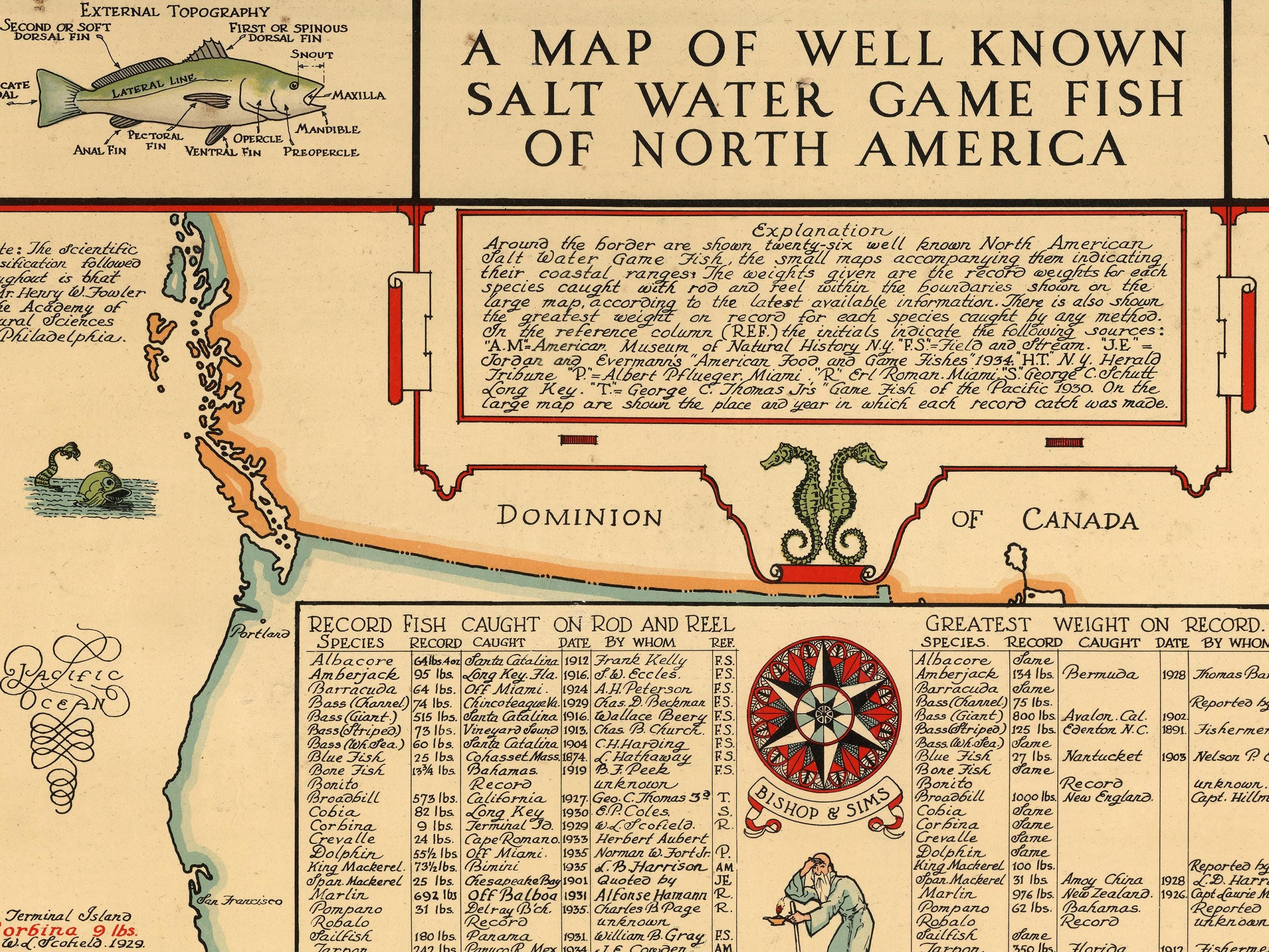 Vintage 1936 Saltwater Fish Map Poster: Retro USA Wall Art - Etsy