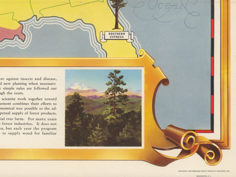 1943 Vintage USA Forestry Map Print: Americana Arboriculture Poster ...