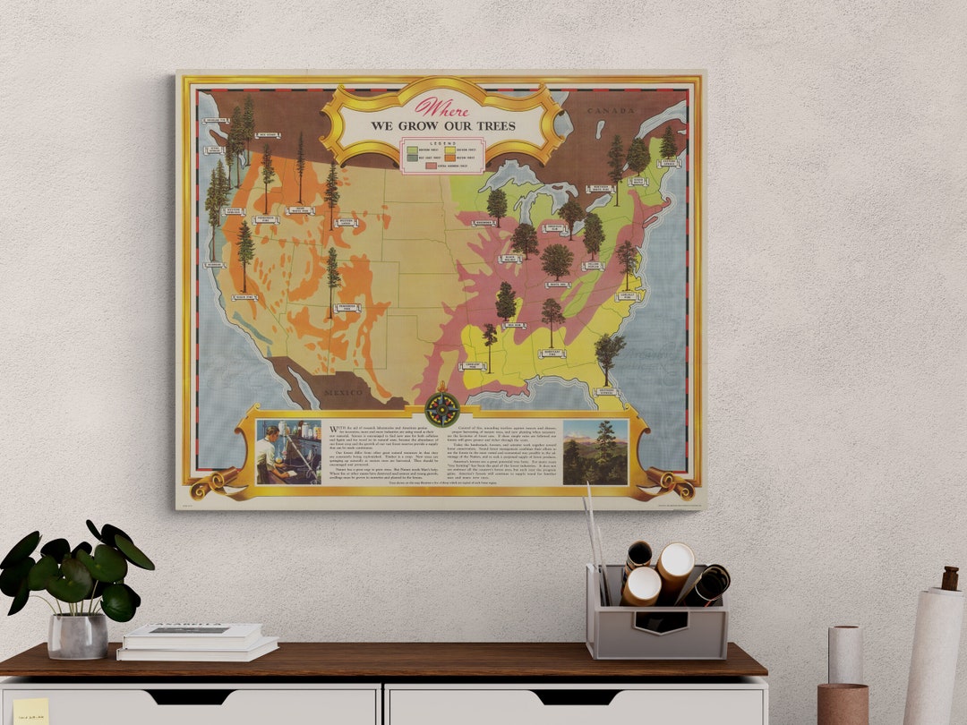 Where We Grow Our Trees 1943 Vintage Map USA Forestry Americana ...