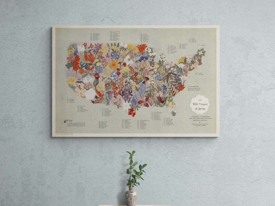 Vintage Wildflower Map of USA: 1955 Retro Botanical Print - Etsy