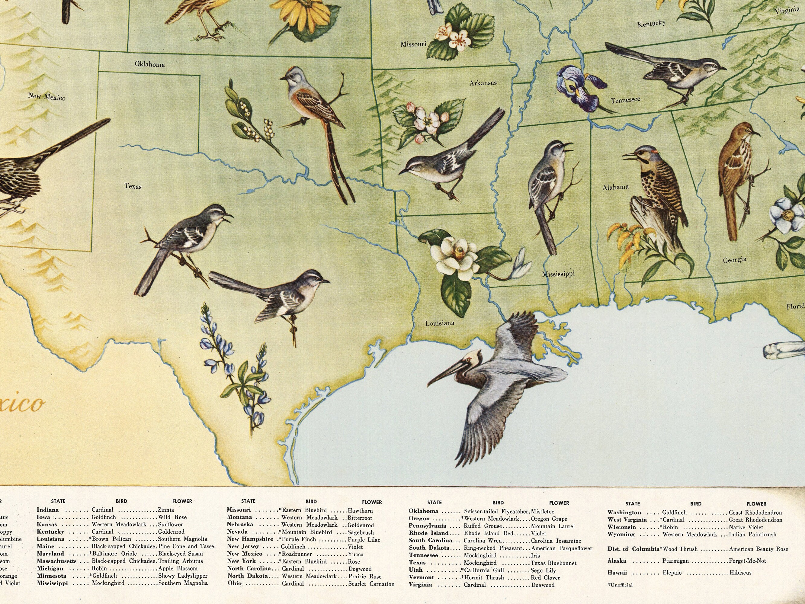 Vintage State Bird and Flower Map of the United States 1965 Classroom ...