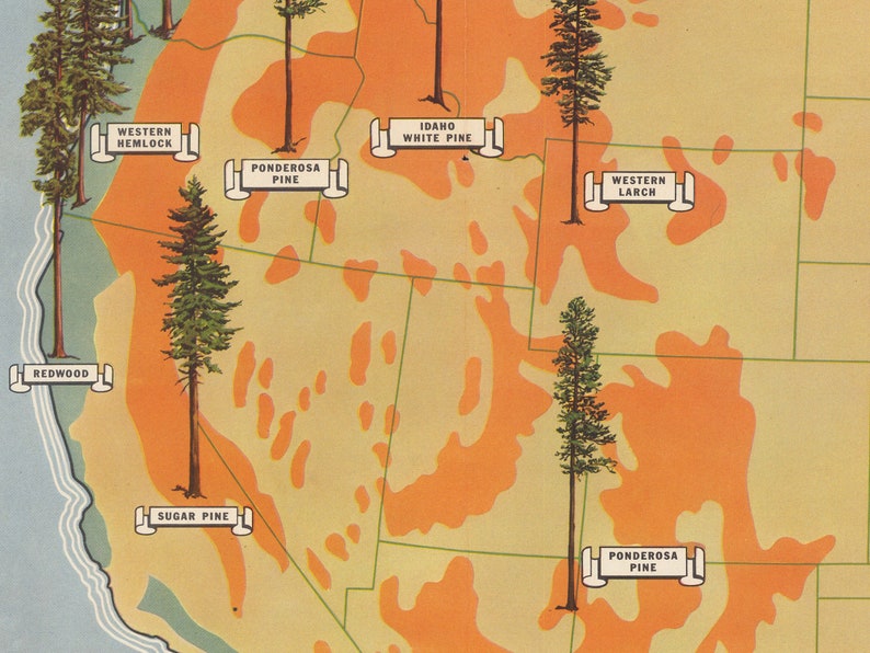 1943 Vintage USA Forestry Map Print: Americana Arboriculture Poster ...