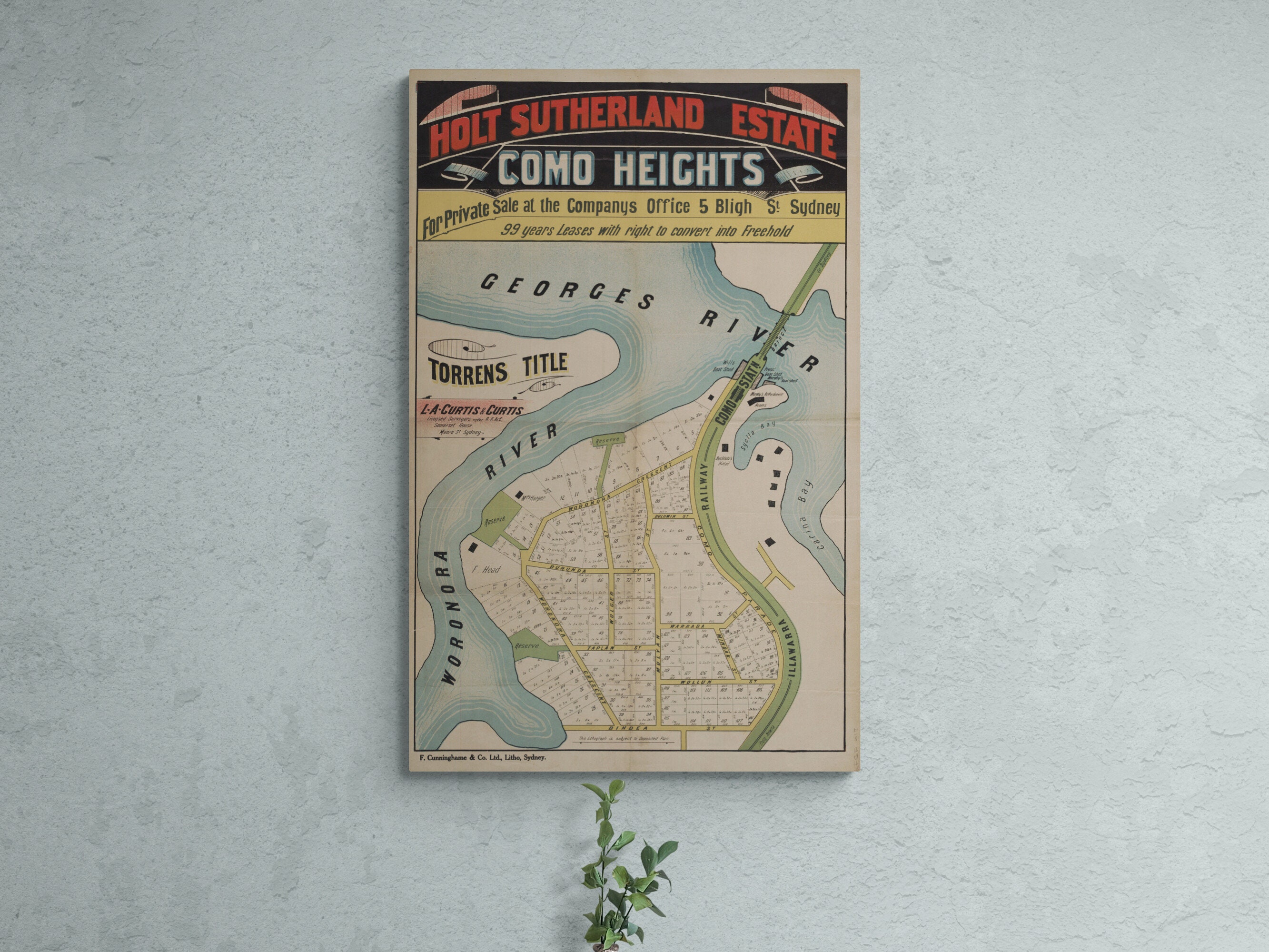 Vintage Map Print: Como Heights Sydney 1888, Holt Sutherland Estate - Etsy