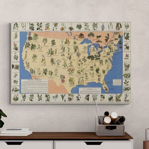 Medicinal Plant Map of the United States of America 1932 Naturopath Art ...
