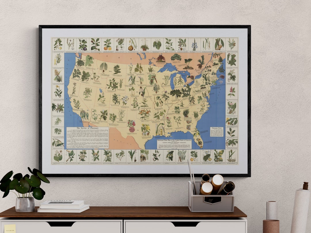 Framed Medicinal Plant Map of the United States of America 1932 ...