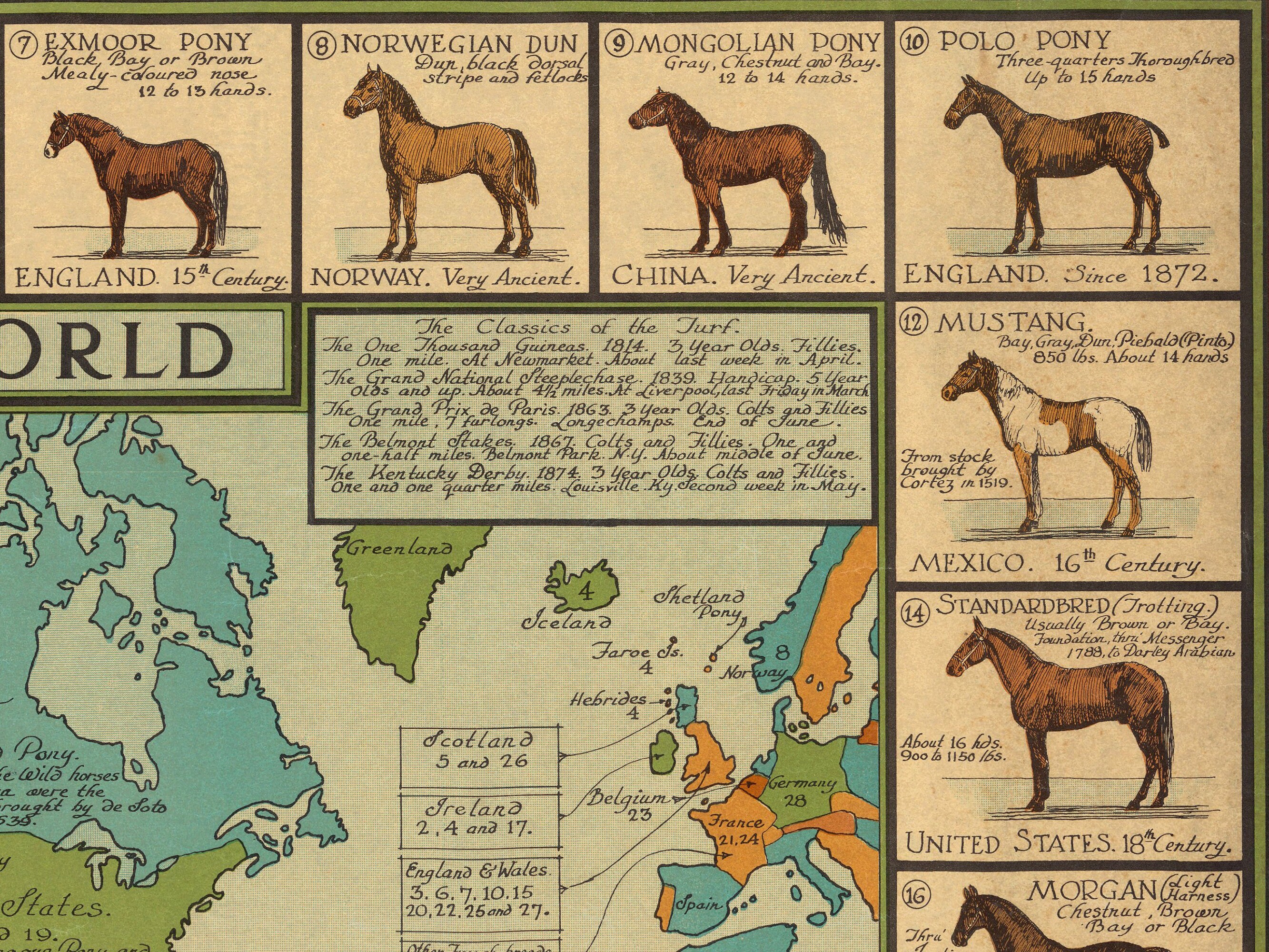 Vintage Horse Map of the World 1934 Old Equestrian Map Antique Horse ...