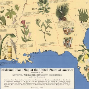 Medicinal Plant Map of the United States of America 1932 Naturopath Art ...