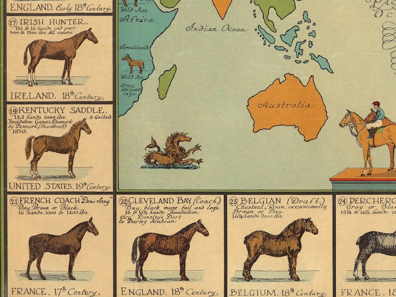 Vintage Horse Map of the World 1934 Old Equestrian Map Antique Horse ...