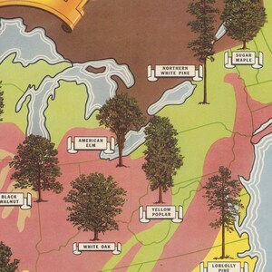 Where We Grow Our Trees 1943 Vintage Map USA Forestry Americana ...