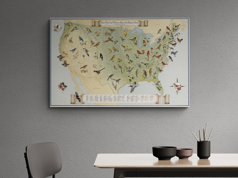 Vintage State Bird and Flower Map of the United States 1965 Classroom ...
