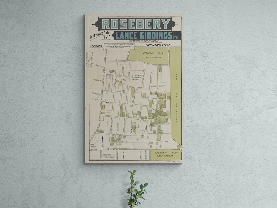 Rosebery Vintage Estate Map 1919 Eastlakes Zetland Sydney Streets Old ...