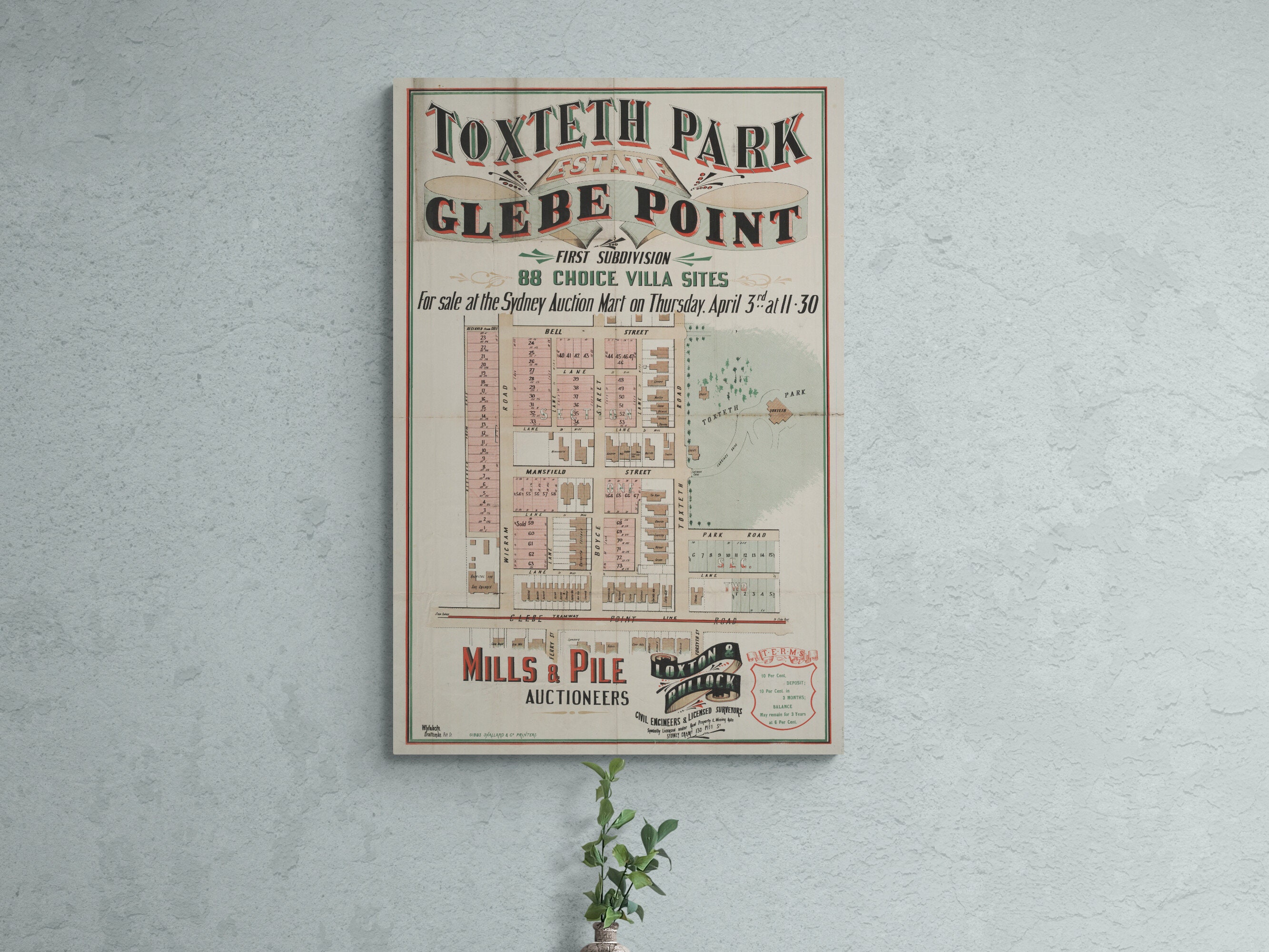 Vintage Map Sydney Glebe Point Estate Sales Map 1890 Toxteth Park ...