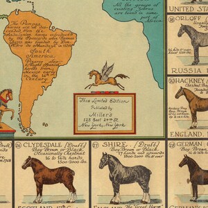 Vintage Horse Map of the World 1934 Old Equestrian Map Antique Horse ...