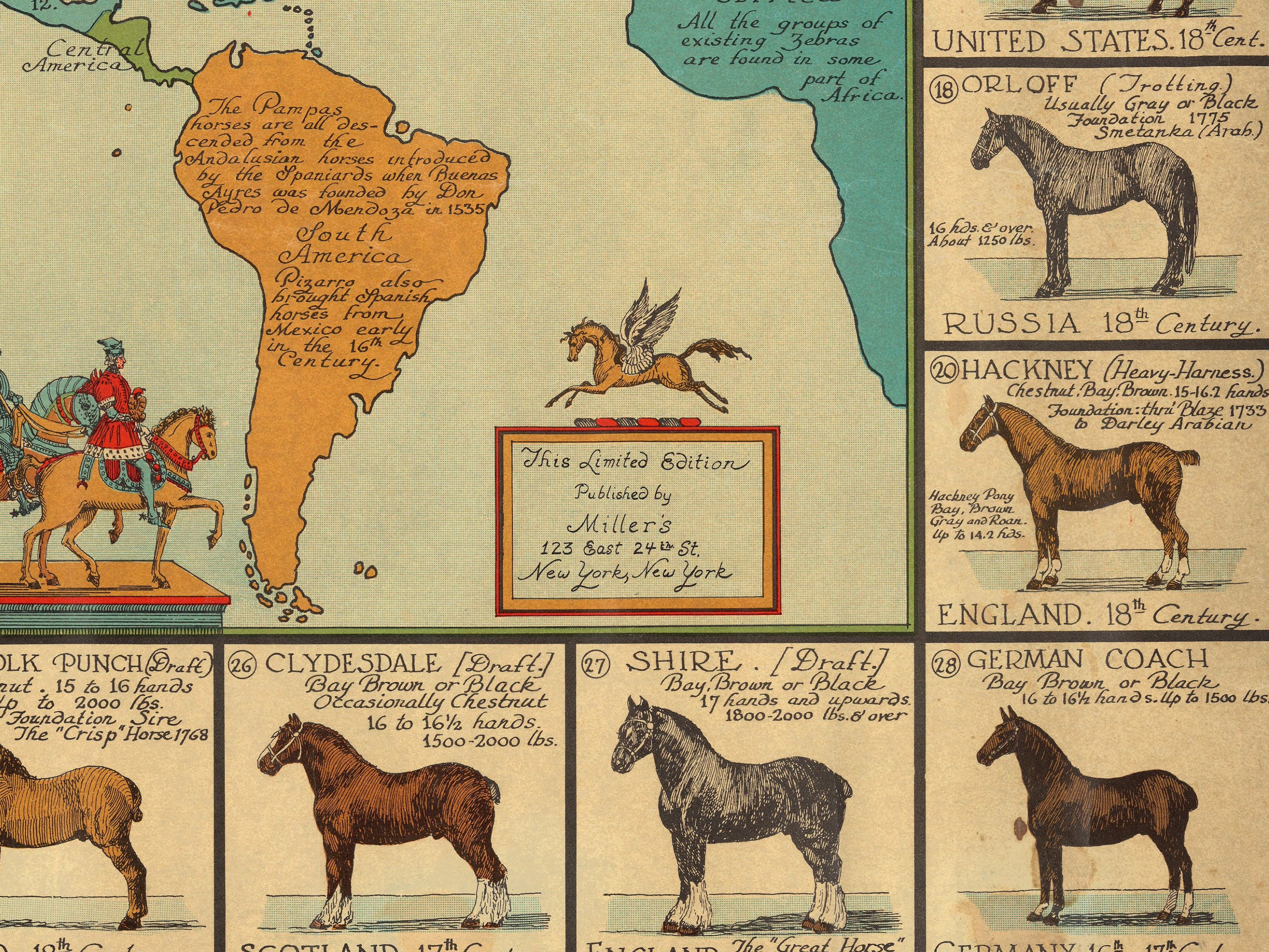 Vintage Horse Map of the World 1934 Old Equestrian Map Antique Horse ...