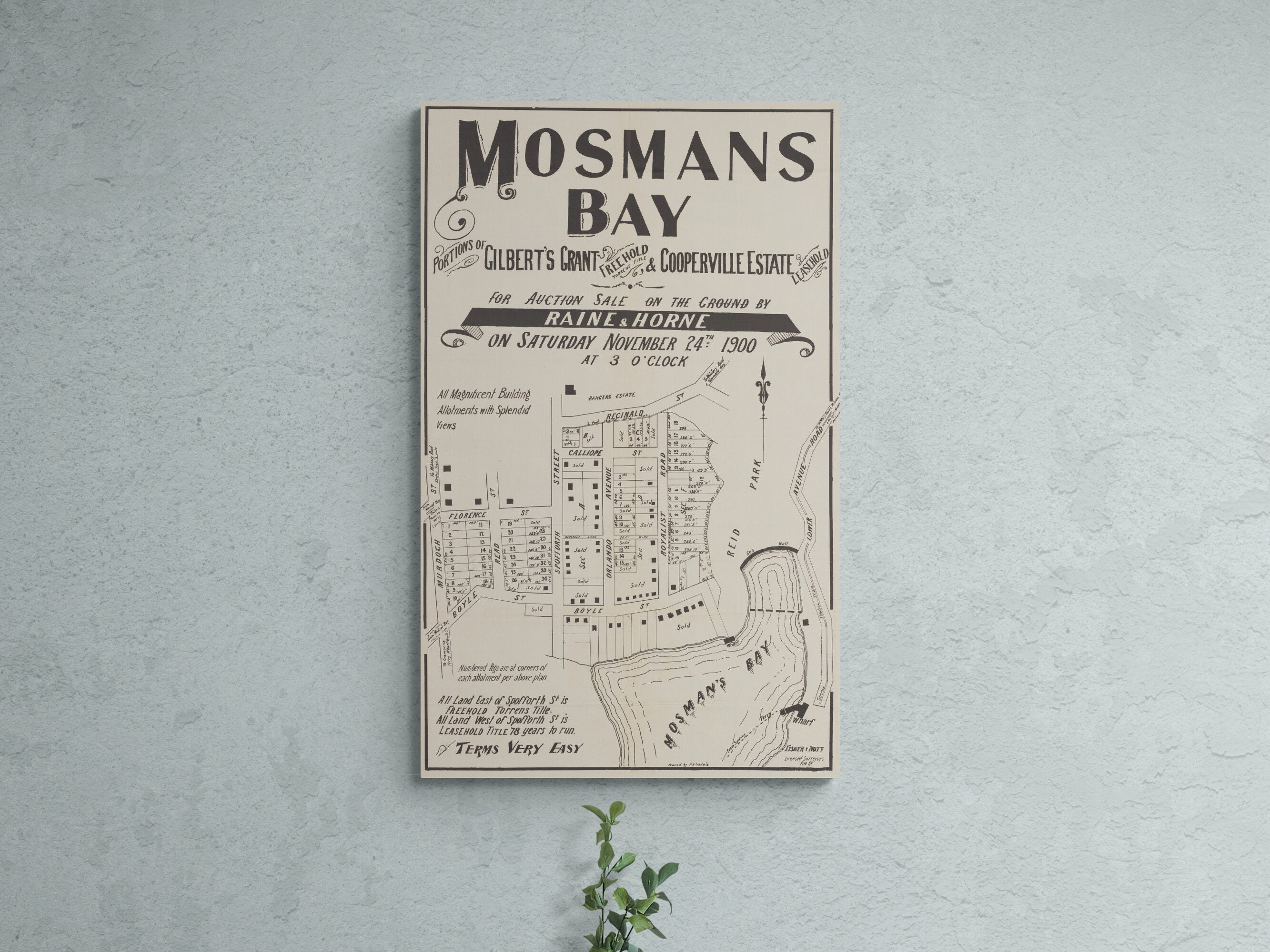 Mosmans Bay Vintage Estate Map 1900 Cremorne Neutral Bay Mosman Sydney ...