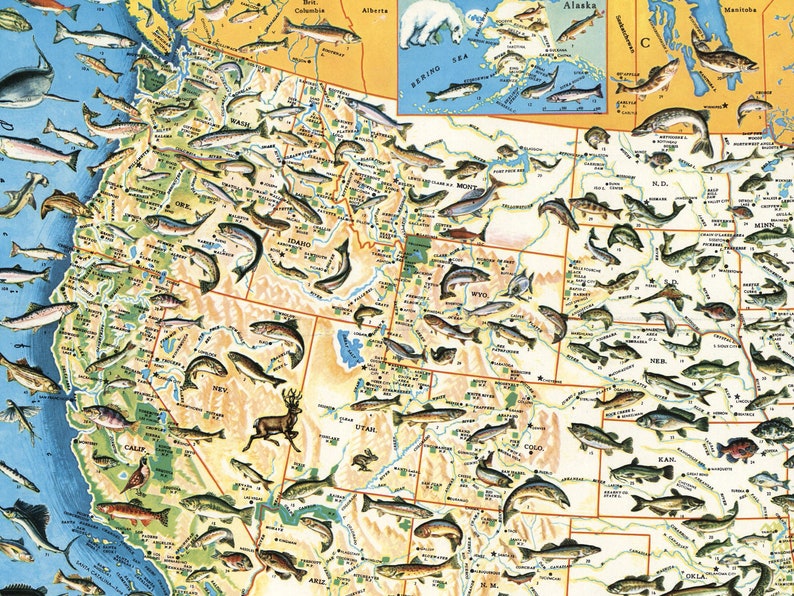 Sportsmans Fishing Map of the United States of America 1957 Illustrated ...