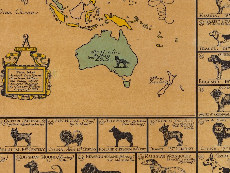 Vintage 1933 Dog Map of the World: Antique Dog Breed Print - Etsy