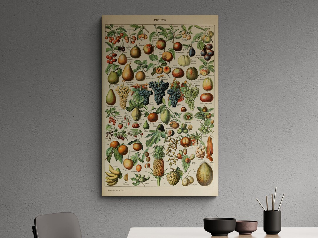 Vintage Fruit Chart Kitchen Wall Poster French Kitchen Poster ...