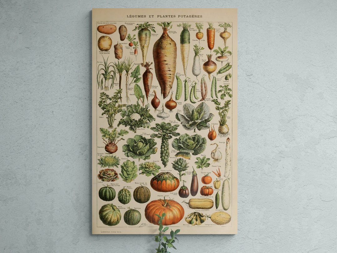 Vintage Vegetables Chart Kitchen Wall Poster French Kitchen Poster ...