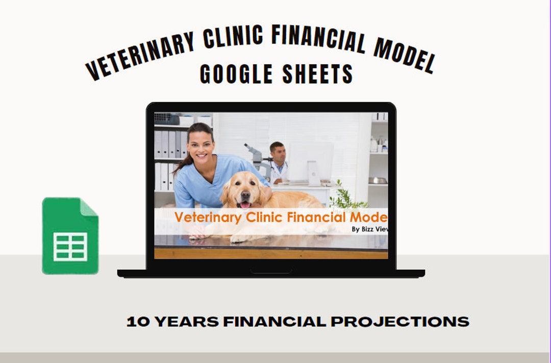 Veterinary Clinic Financial Model and Budget Control - Google Sheets - Etsy
