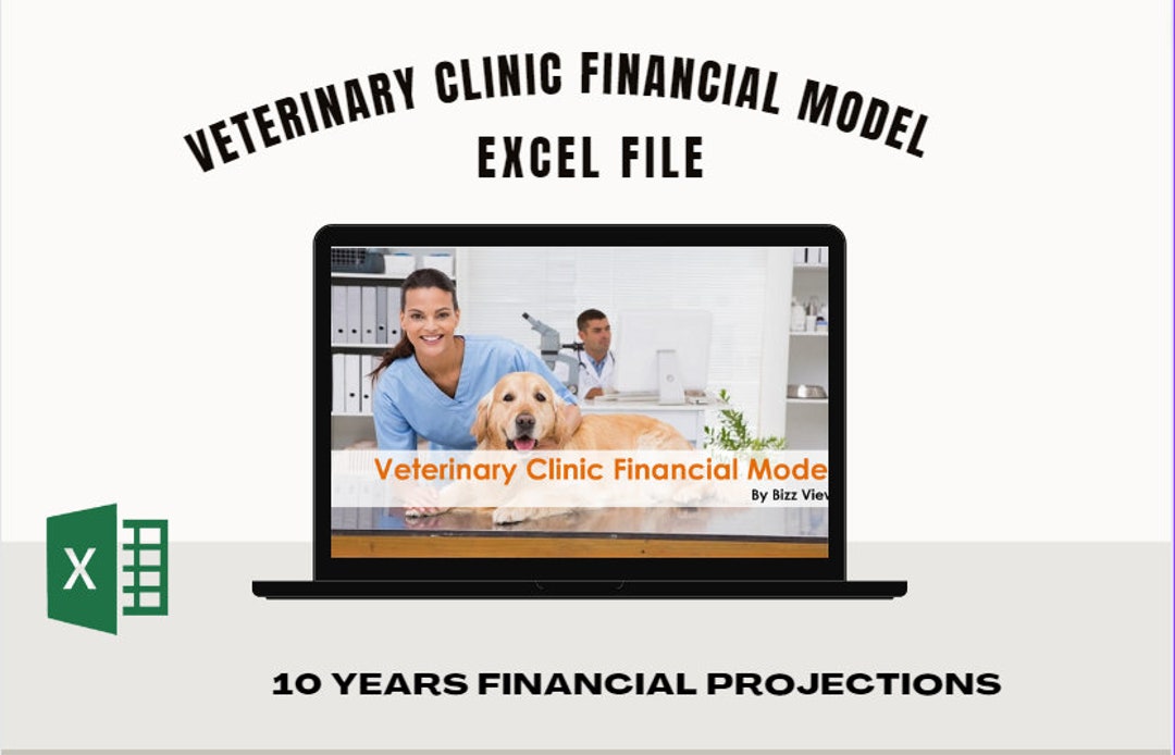 Veterinary Clinic Financial Model and Budget Control -excel File - Etsy
