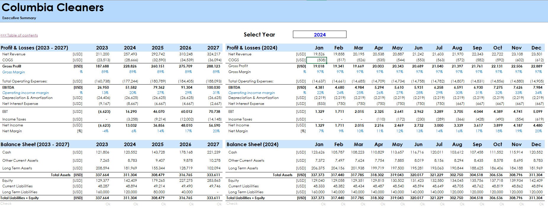 Products Dry Cleaning Financial Model and Budget Control Template ...