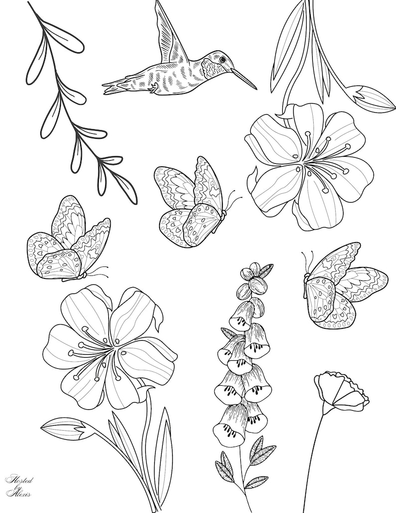 Unique Garden Coloring Pages - Etsy