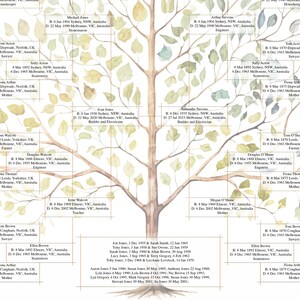 Spring Tree Family Fillable PDF - 6 Generations - 24 X 18" & A2 - by ...