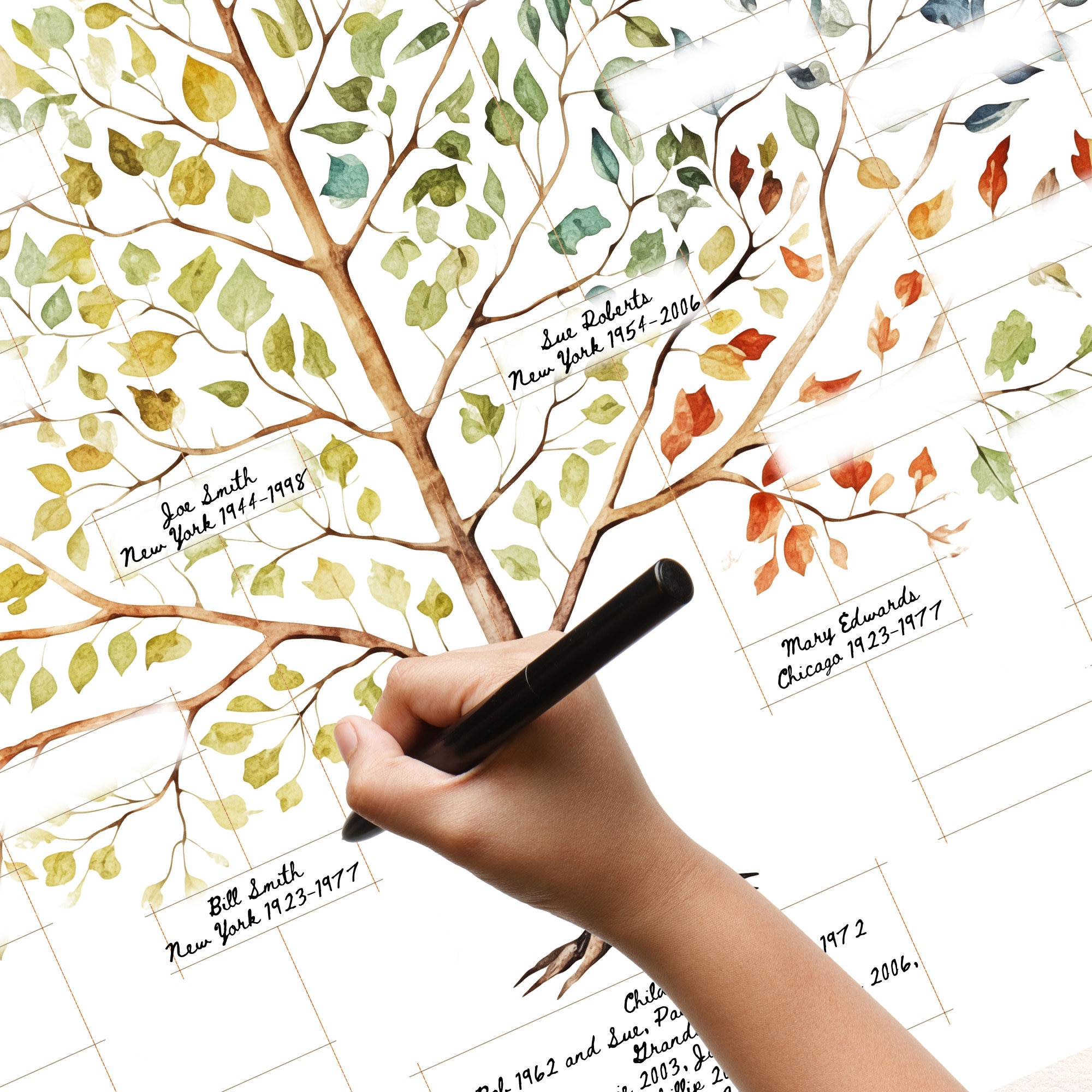 Spring Tree Family Fillable PDF 6 Generations 24 X 18 & A2 by Bekspress ...