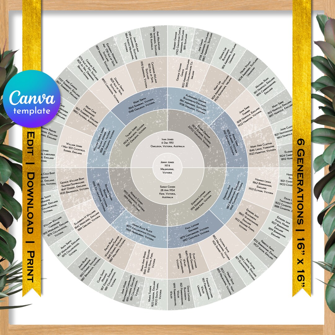 Family Tree Template, Modern Canva Designs, Coastal, Scandi and Boho ...