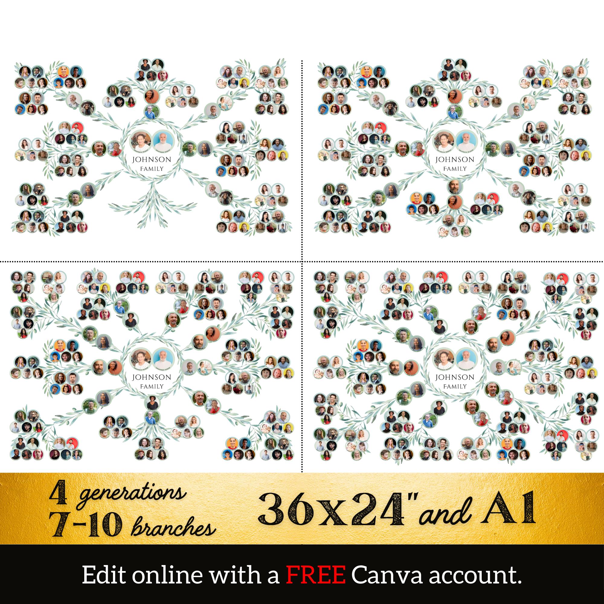 Family Photo Olive Tree Template: 7-10 Branches, 4 Generations (24x18 ...