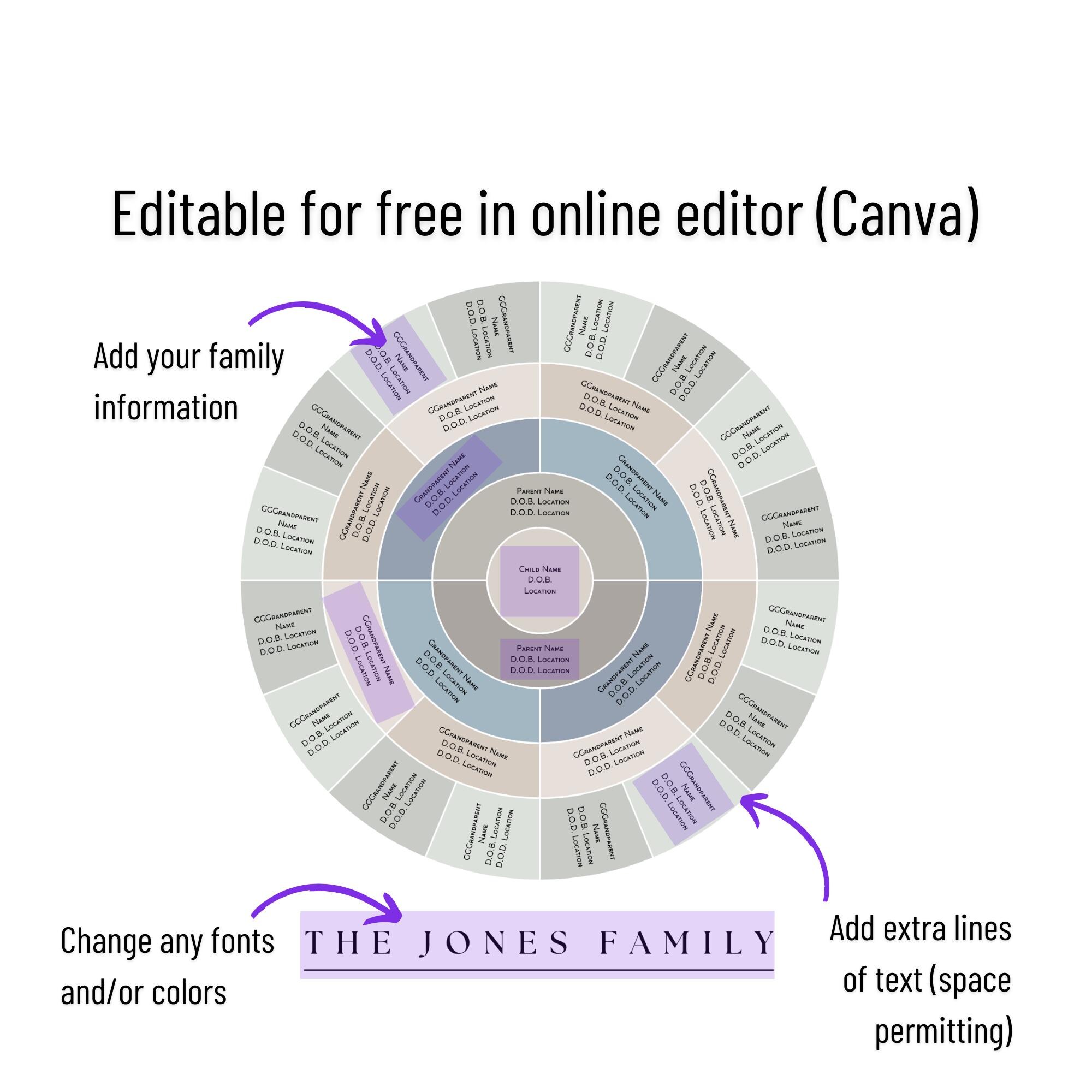 Coastal Family Tree Circle Template: 5 Generation (20x20, Canva) - Etsy