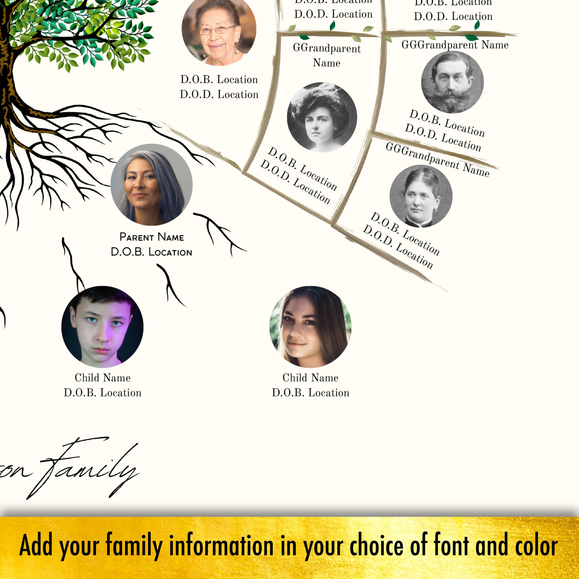 Family Tree Template With Photo Frames for 5 Generations - Etsy