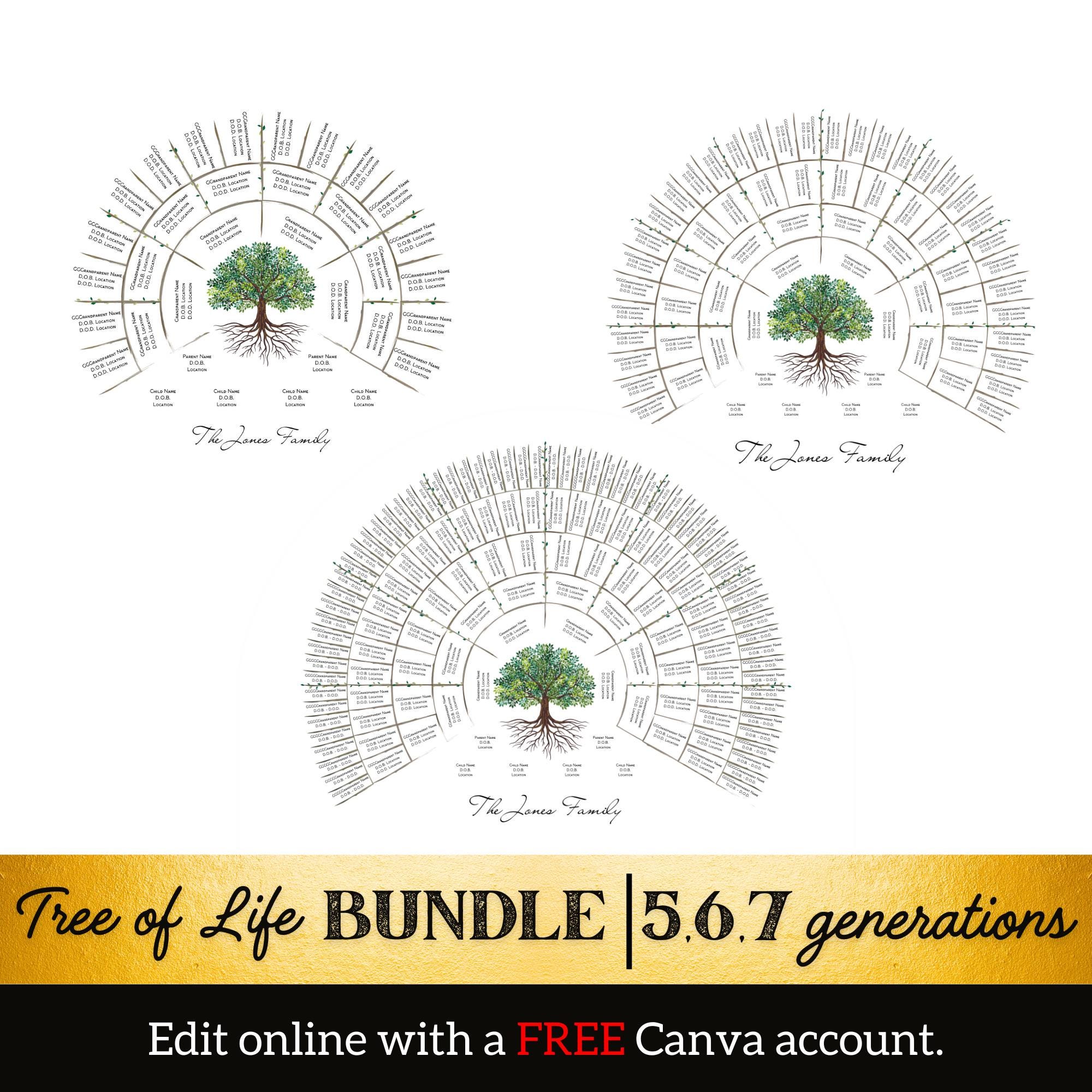 Family Tree Templates (3), Tree of Life Bundle, 5, 6, 7 Generations ...