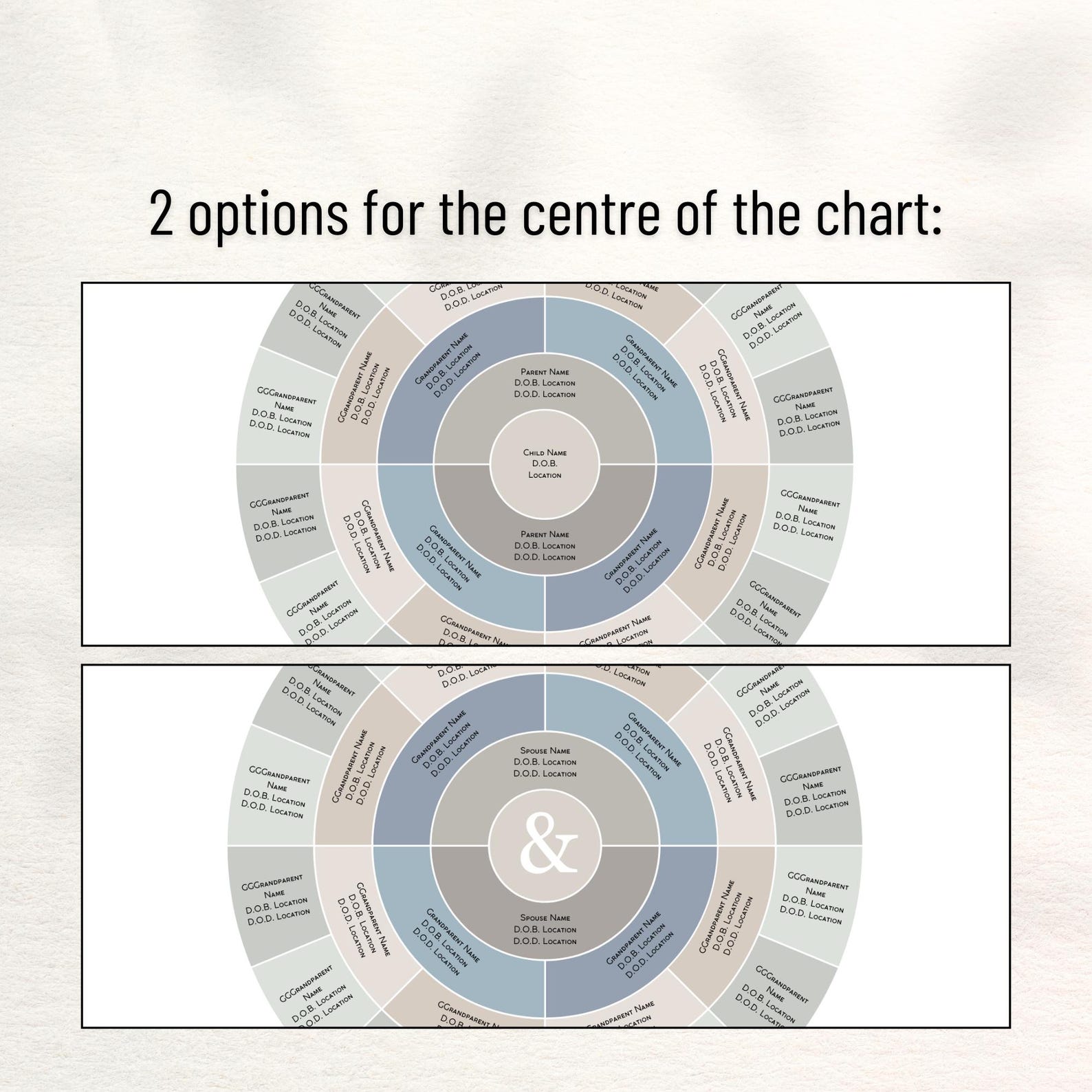 Coastal Family Tree Circle Template: 5 Generation (20x20, Canva) - Etsy