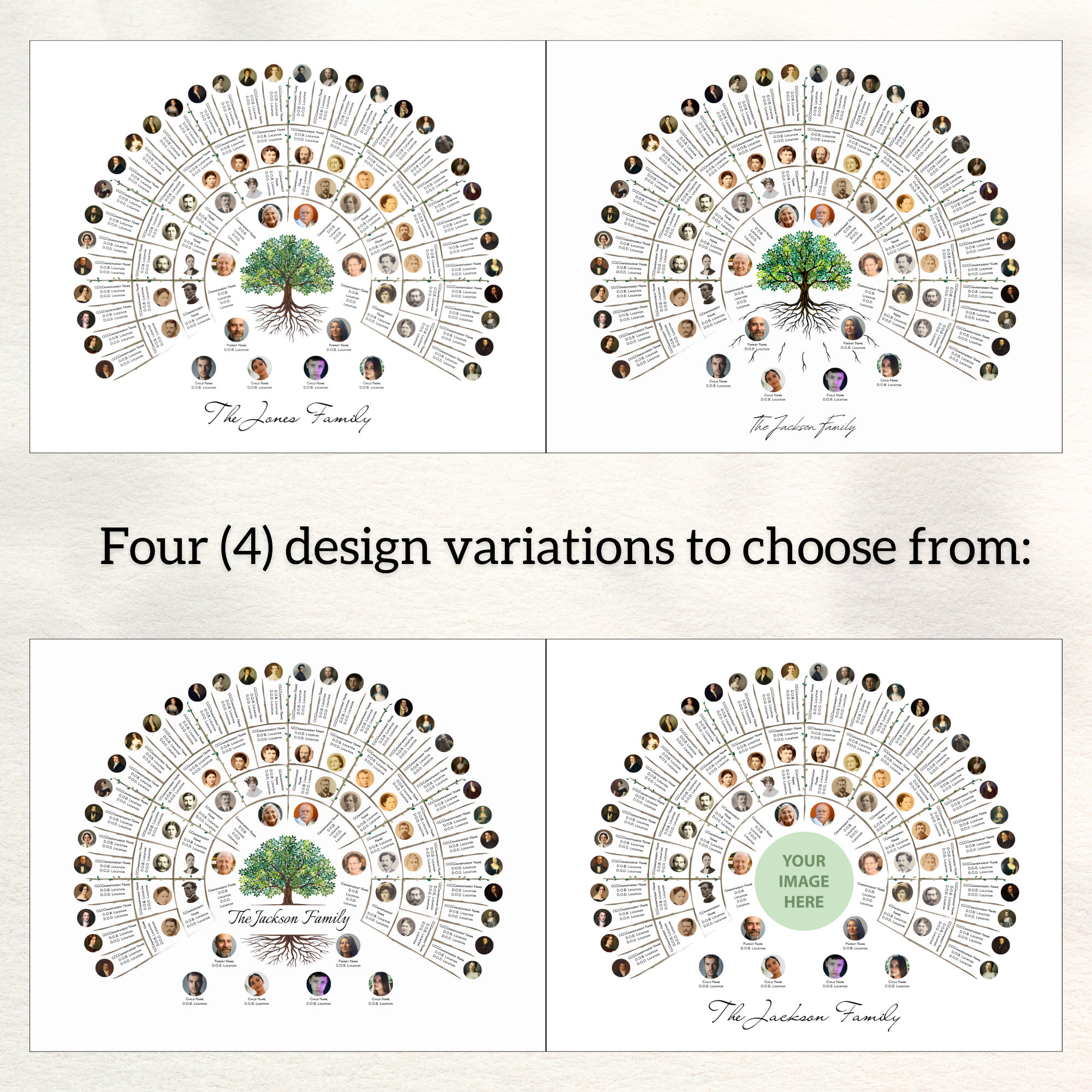 Family Tree Templates (3) With Photo Frames for 4 5 6 Generations, Fan ...