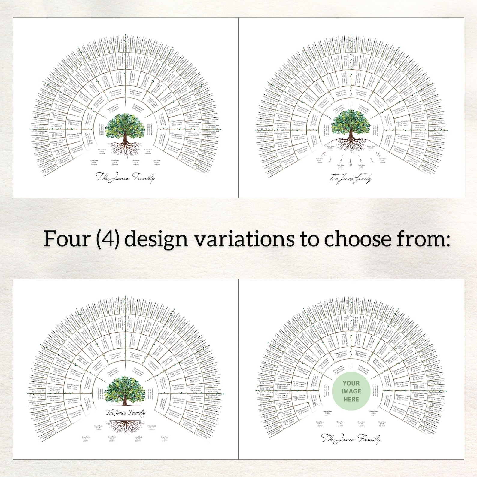 Family Tree of Life Template Bundle, 5, 6, 7 Generations, With a Tree ...