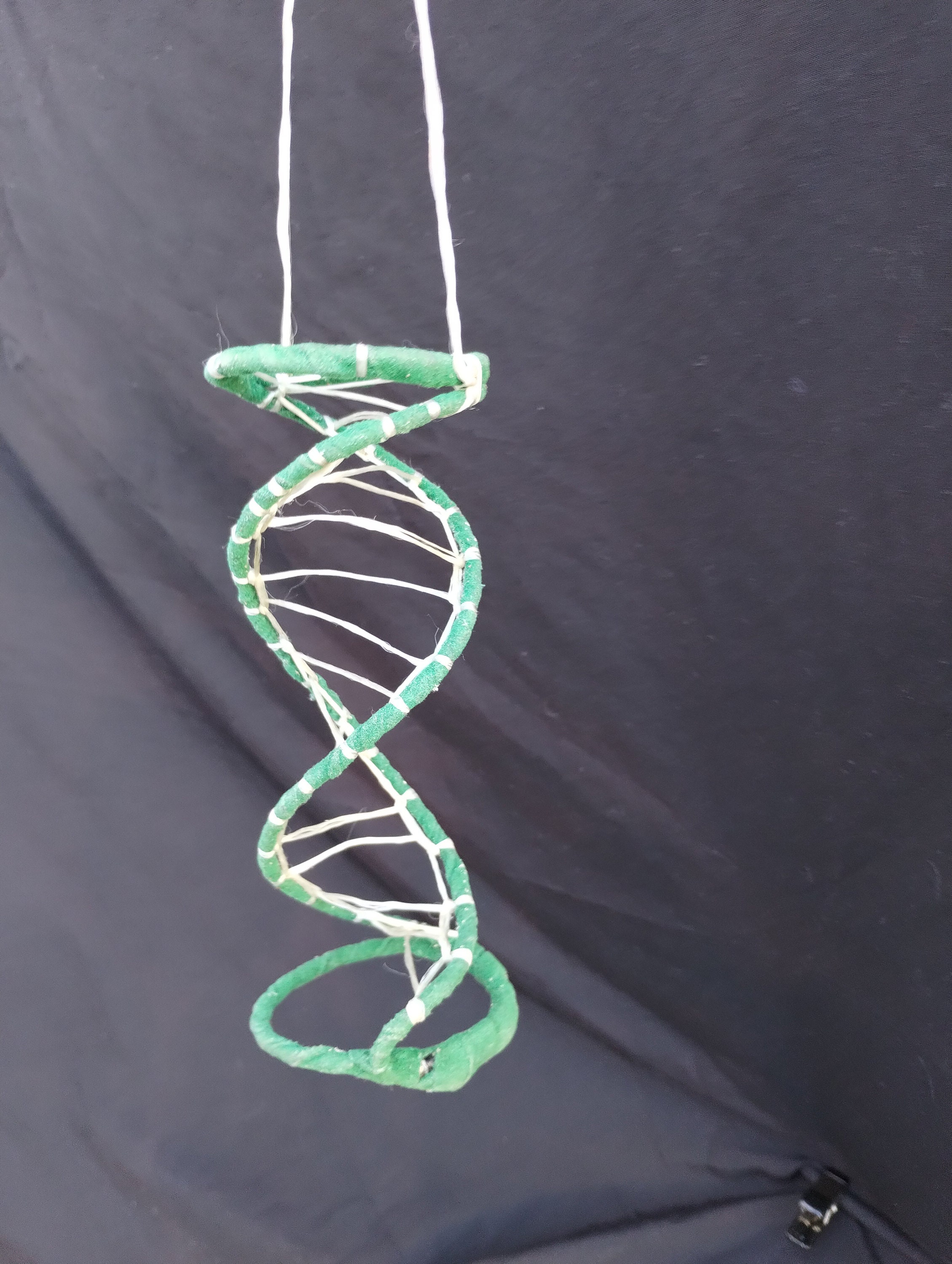DNA Double Helix Dreamcatcher - Etsy