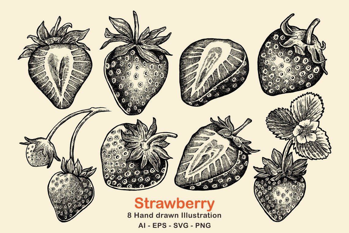 Strawberry Hand Drawn Illustrations | Strawberry Drawing | Strawberry ...