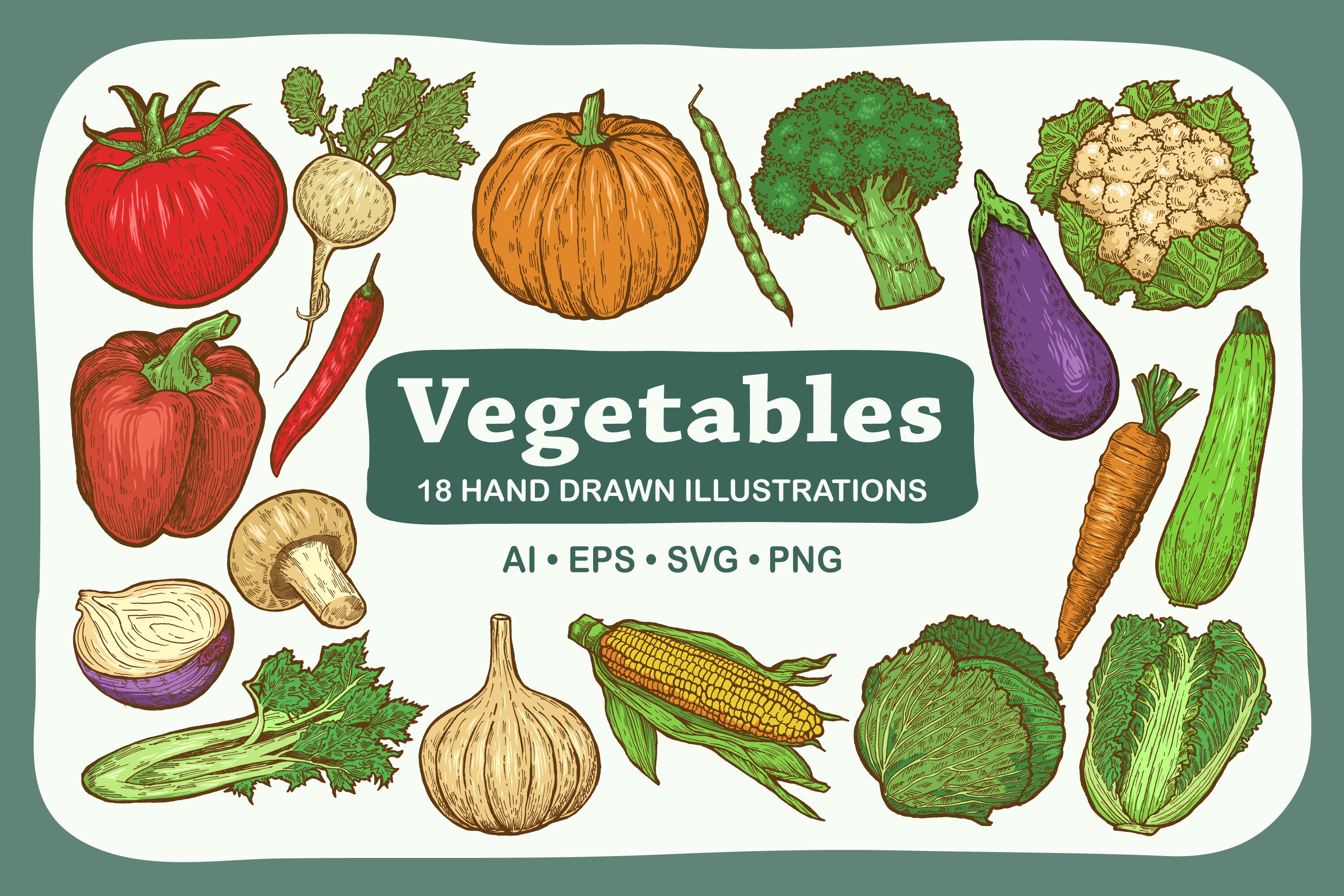 Vegetables Hand Drawn Illustrations | Vegetables Vector Elements ...