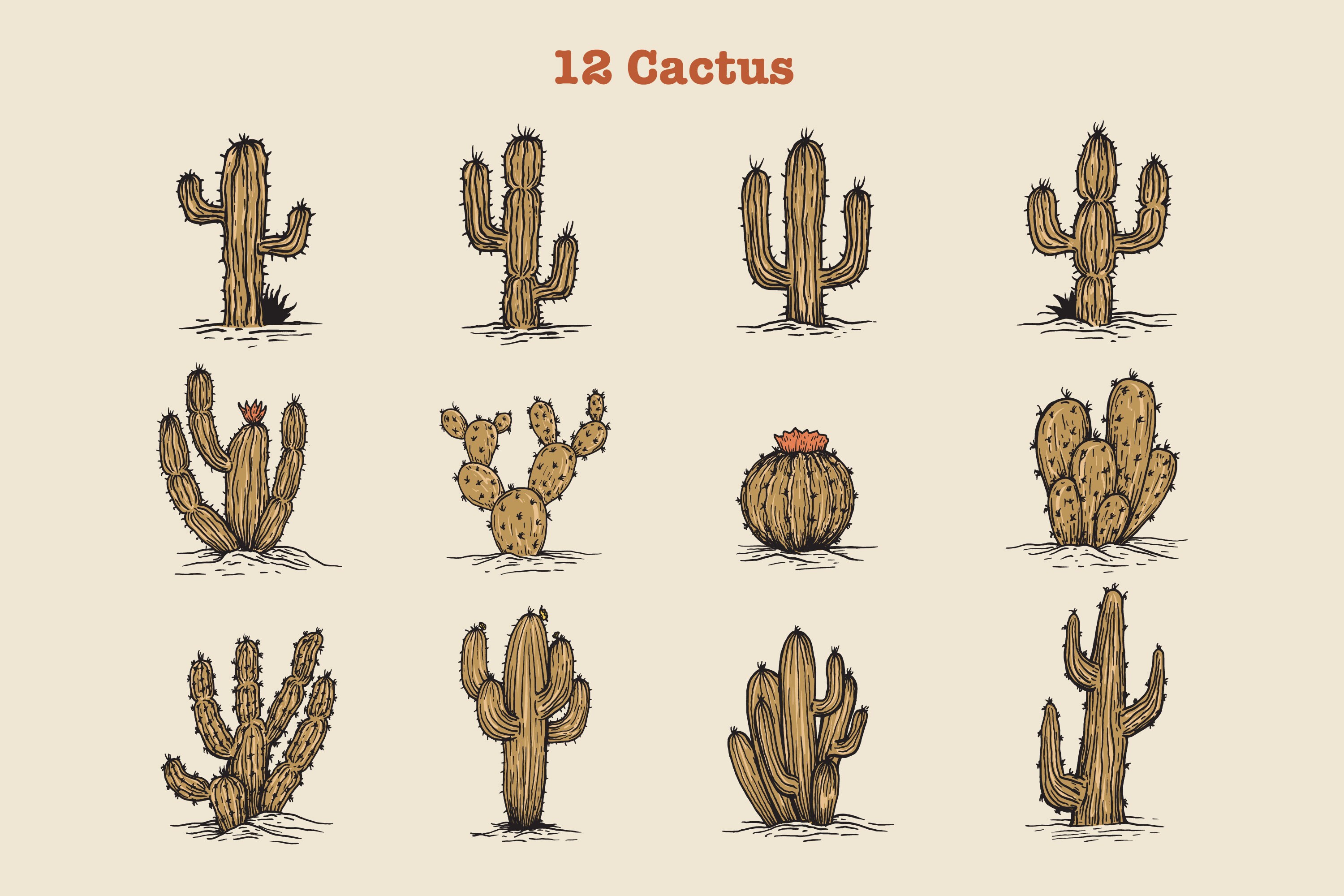 Hand Drawn Western Desert Elements | Western Clipart Elements | Western ...