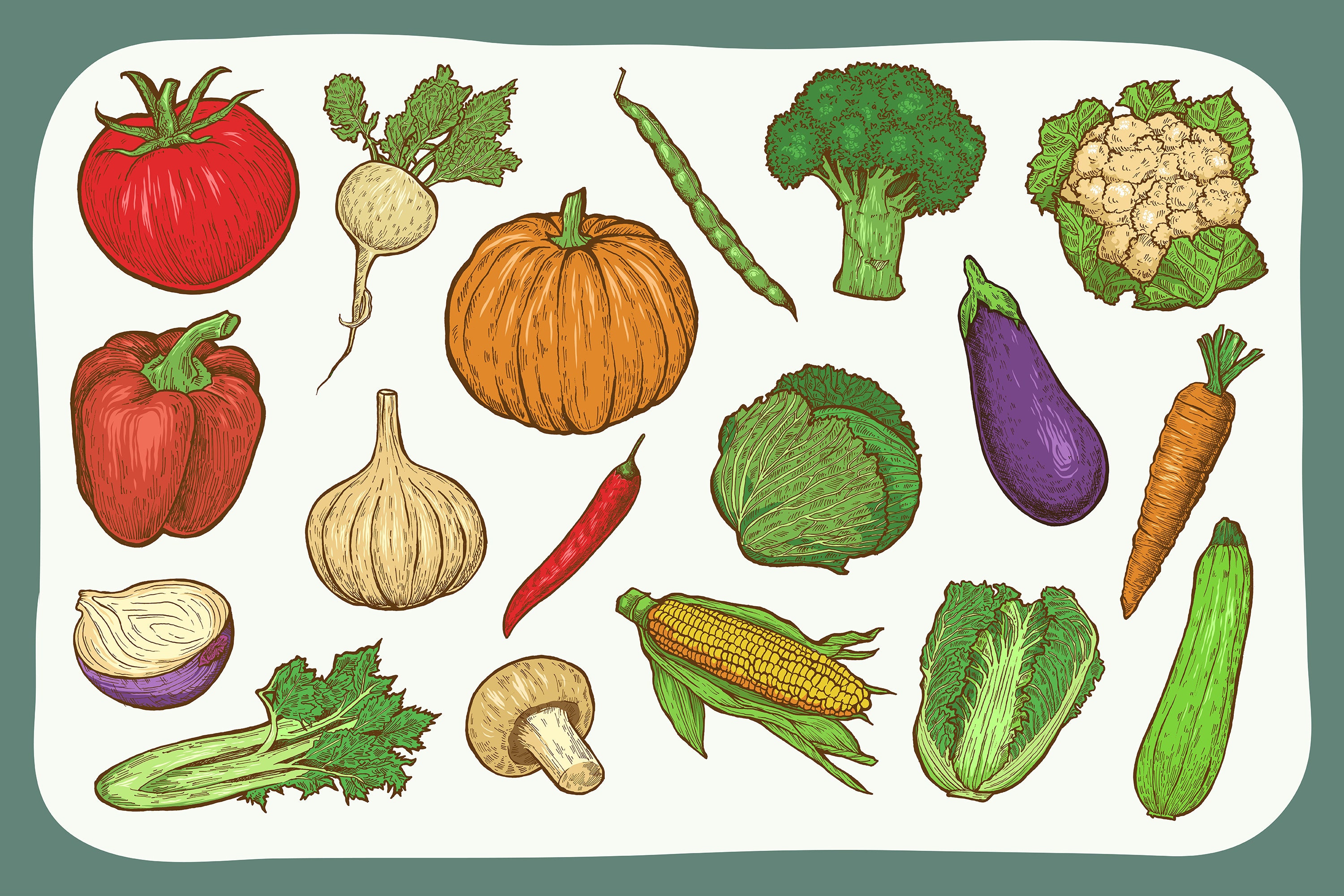 Vegetables Hand Drawn Illustrations | Vegetables Vector Elements ...