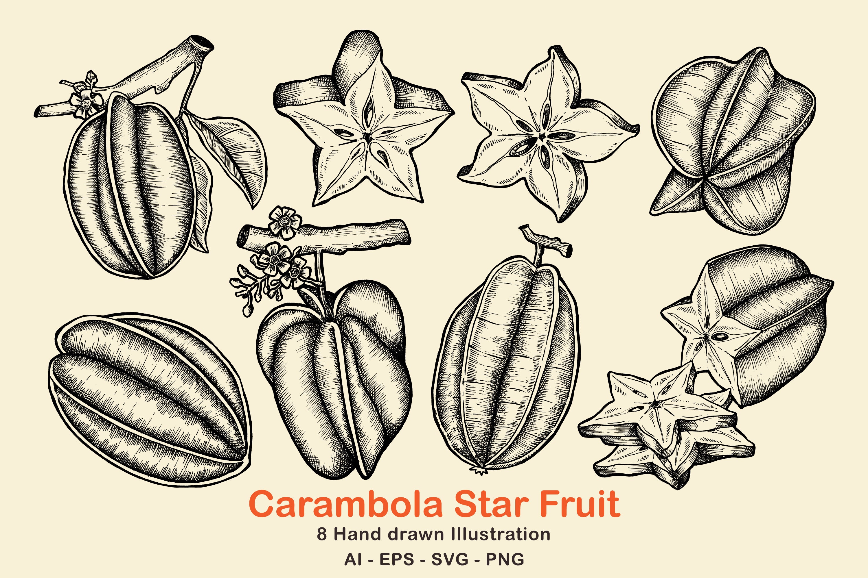 Star Fruit Hand Drawn Illustrations | Carambola Star Fruit Hand Drawn ...