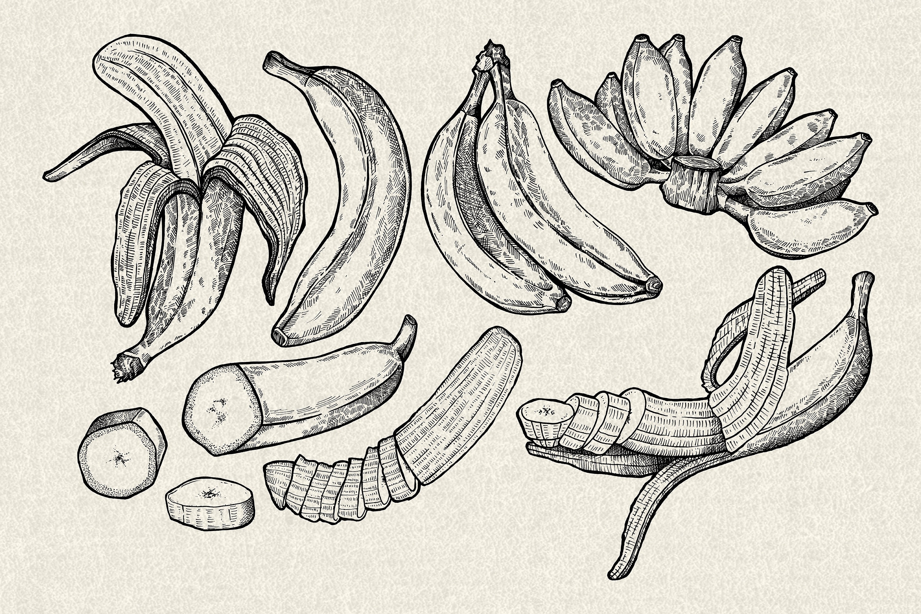 Banana Sketch