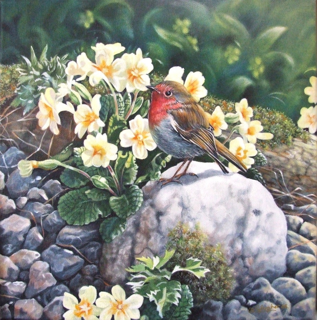 The Early Bird european Robin, Art Print by Suzanne Brooks, Fine Art ...
