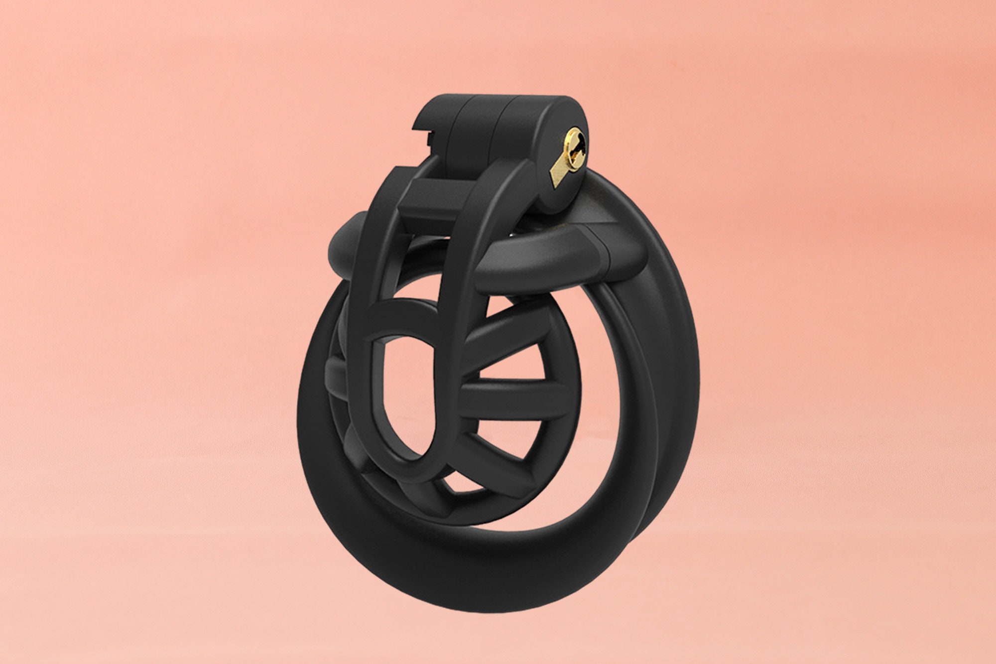 Customized Chastity Cage Resin Chastity Cage Series Flat Chastity Lock