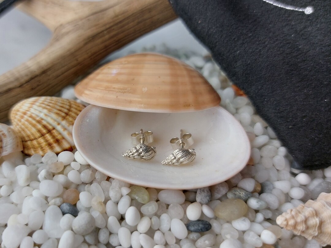 Silver Seashell Stud Earrings Minimalist Seashell Earrings Handmade ...