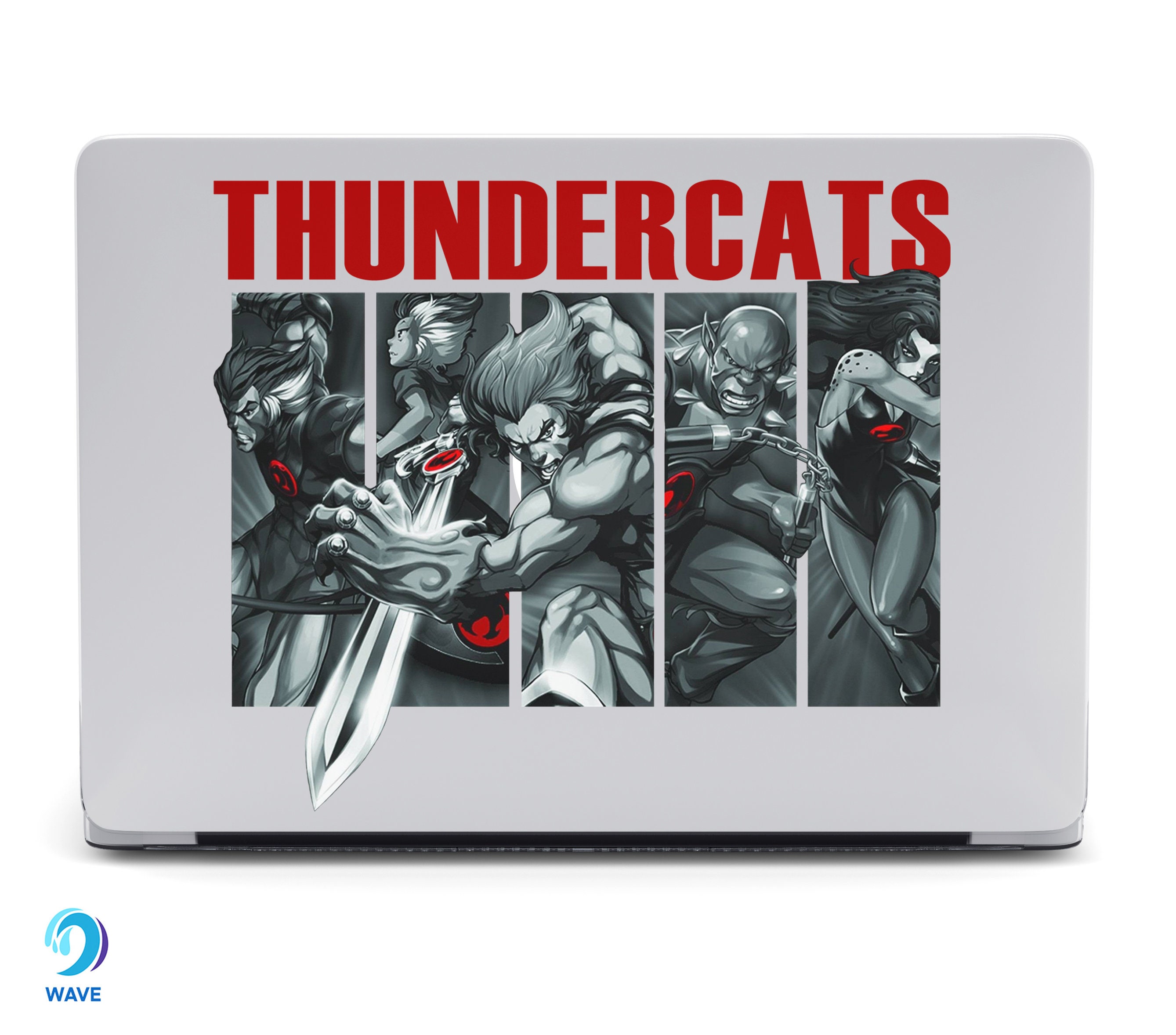 Thunder Cats Computer Case