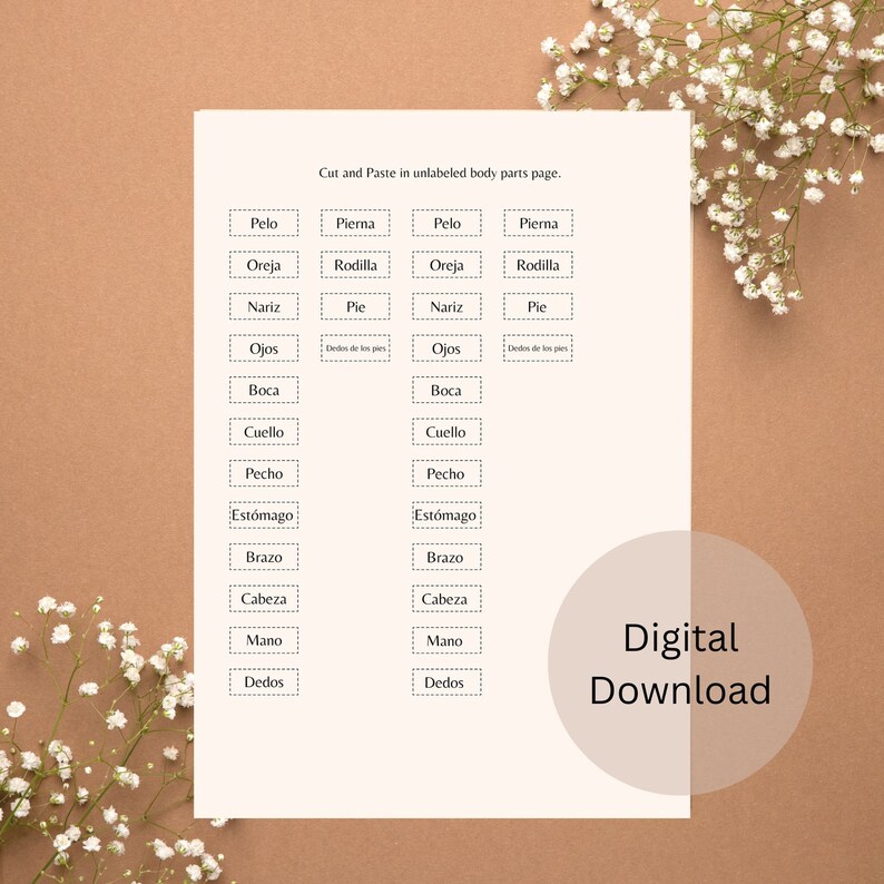 Bilingual Body Parts Digital Download, Spanish/ English Body Parts ...